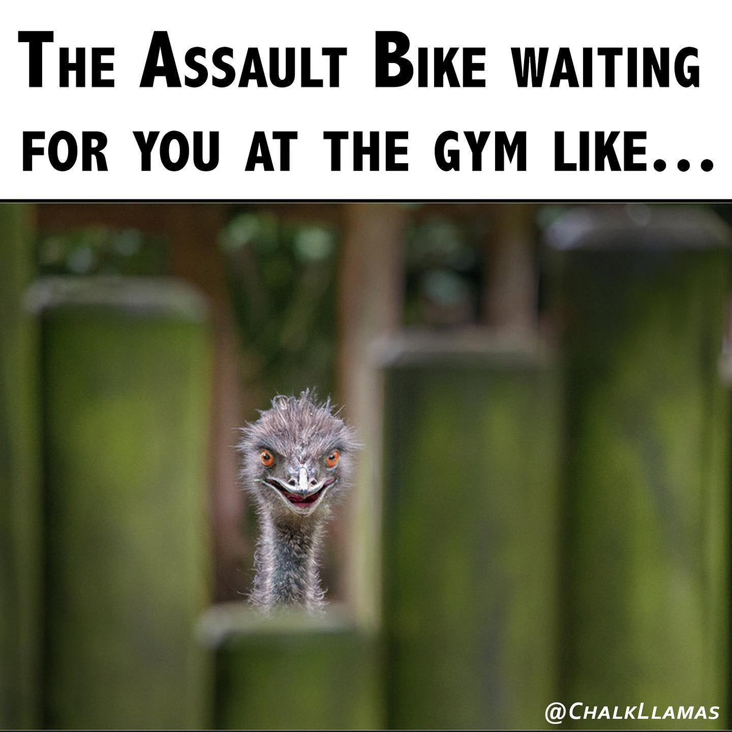 WOD – CrossFit Apollo